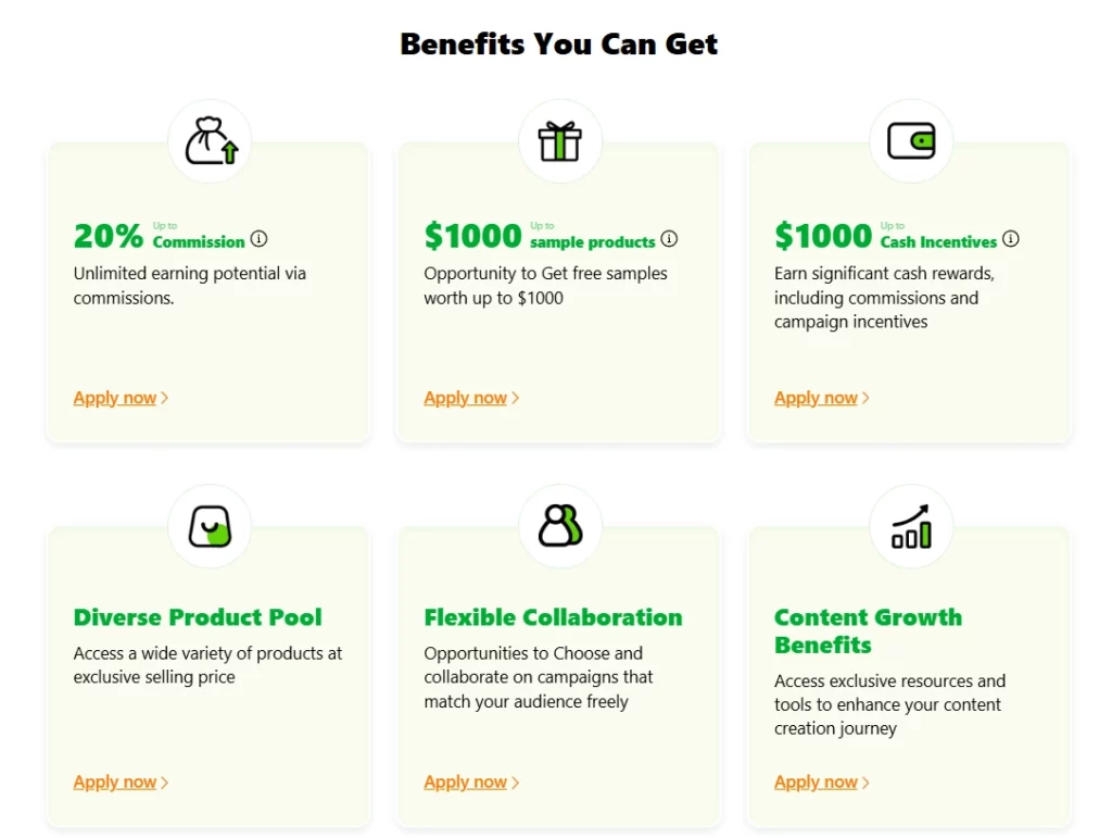 Temu Influencer Program: Is It Legit, How to Join & What to Expect